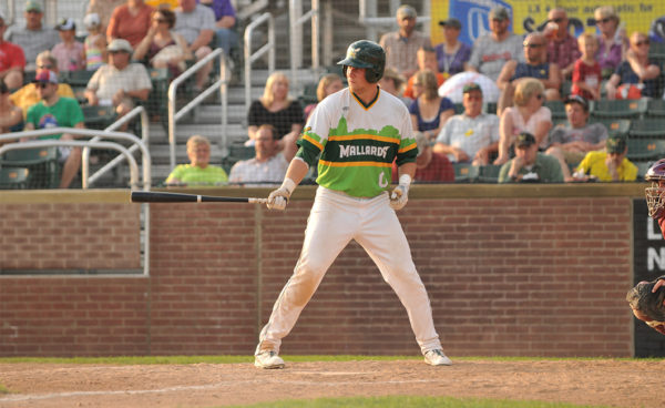 Colossus of Clout Design Co. | Portfolio | Madison Mallards Baseball