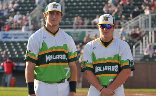 Colossus of Clout Design Co. | Portfolio | Madison Mallards Baseball